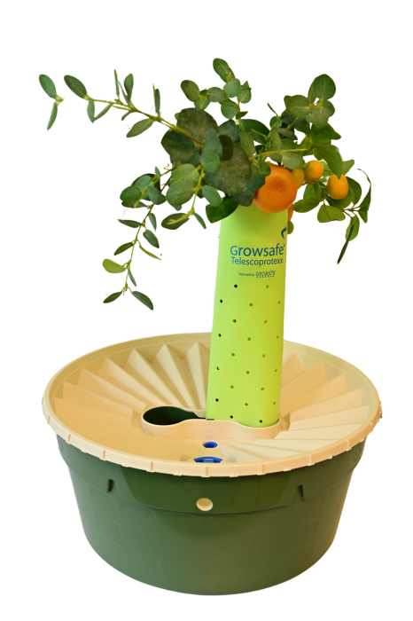 Groasis Waterboxx plant cocoon 1 pack